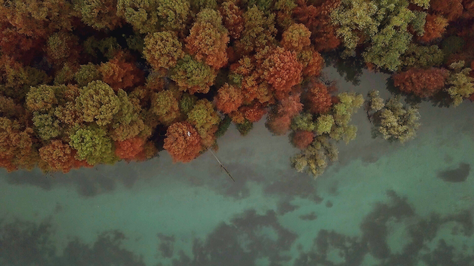 Jewels of the Alps - Italy' s great lakes - Marco Polo Film AG